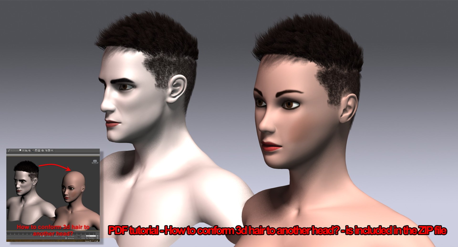 3D Hair Cards 8 Human - TurboSquid 1258747