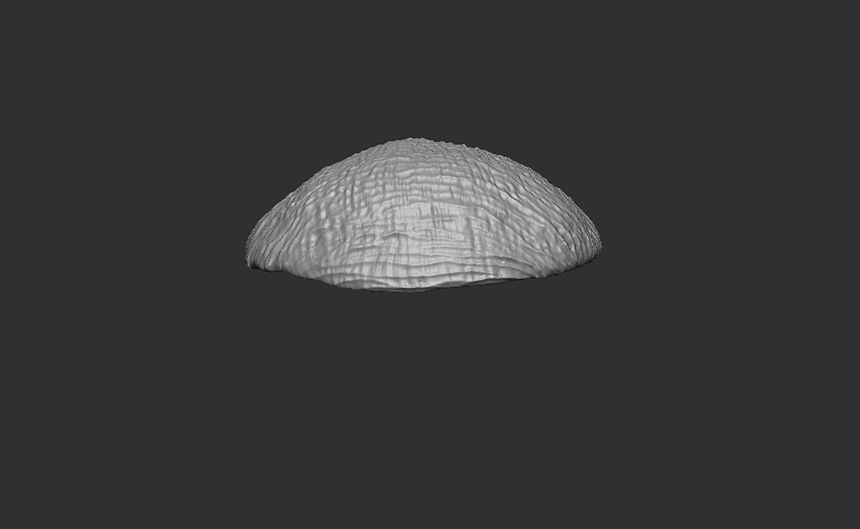 3D Shell Model - TurboSquid 1860217