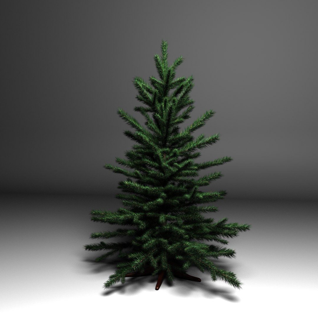 3d Model Spruce
