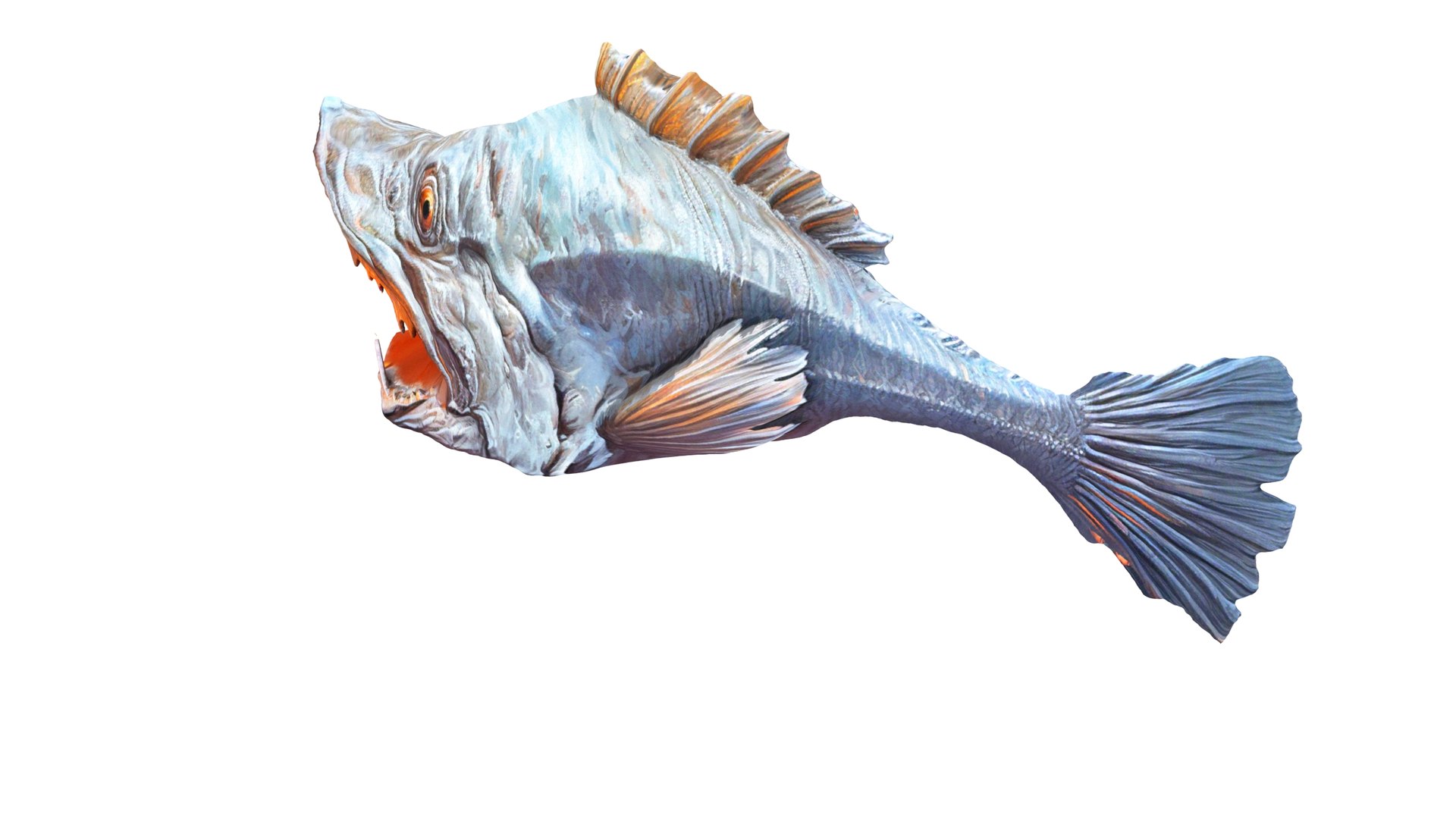 Fish Pack Model - TurboSquid 2155136