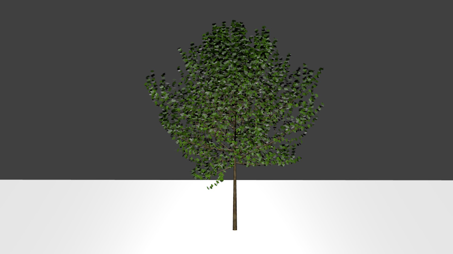 Polly Tree 3d Model