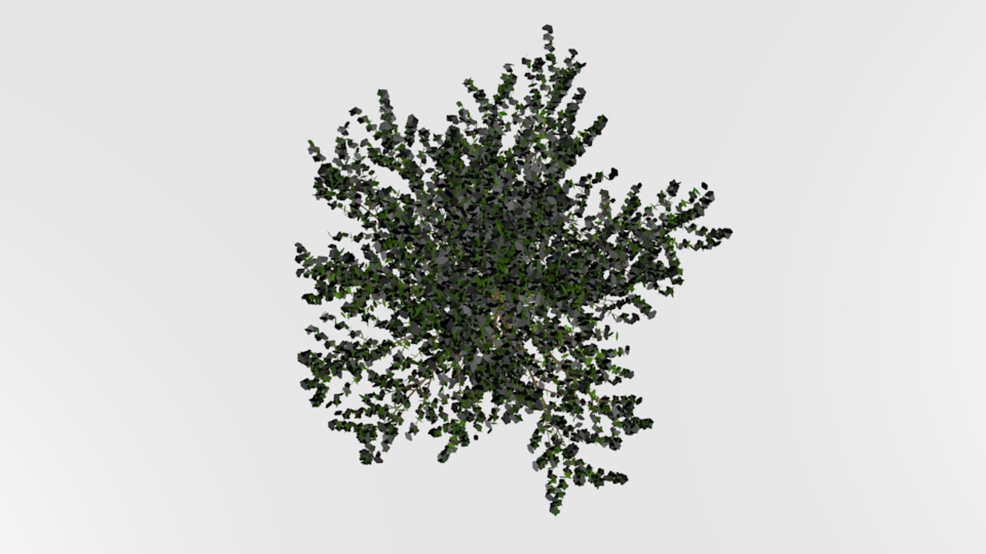 Polly Tree 3d Model