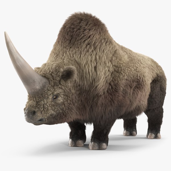 Elasmotherium Rigged Fur 3D model - TurboSquid 1980870