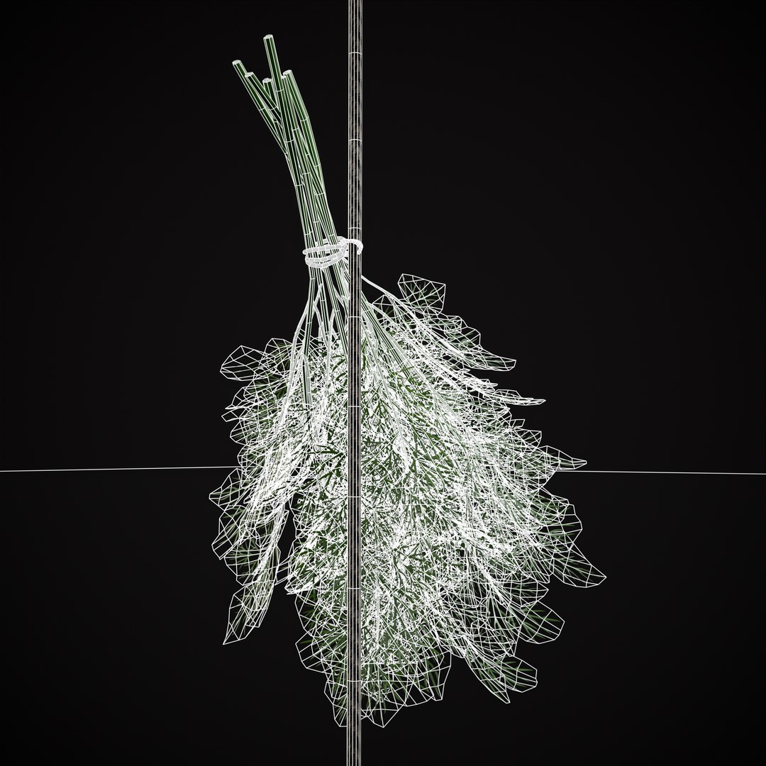 3D Hanging Dills - TurboSquid 2202921