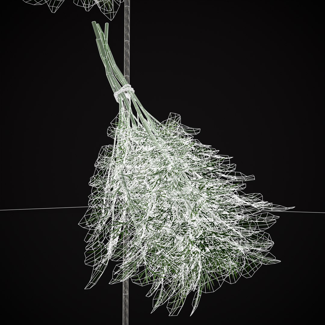 3D Hanging Dills - TurboSquid 2202921