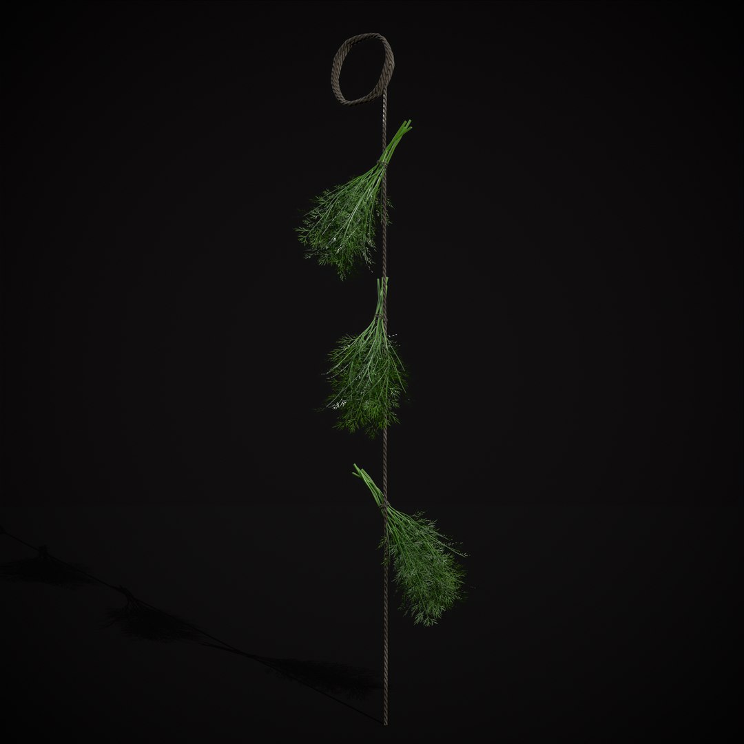 3D Hanging Dills - TurboSquid 2202921