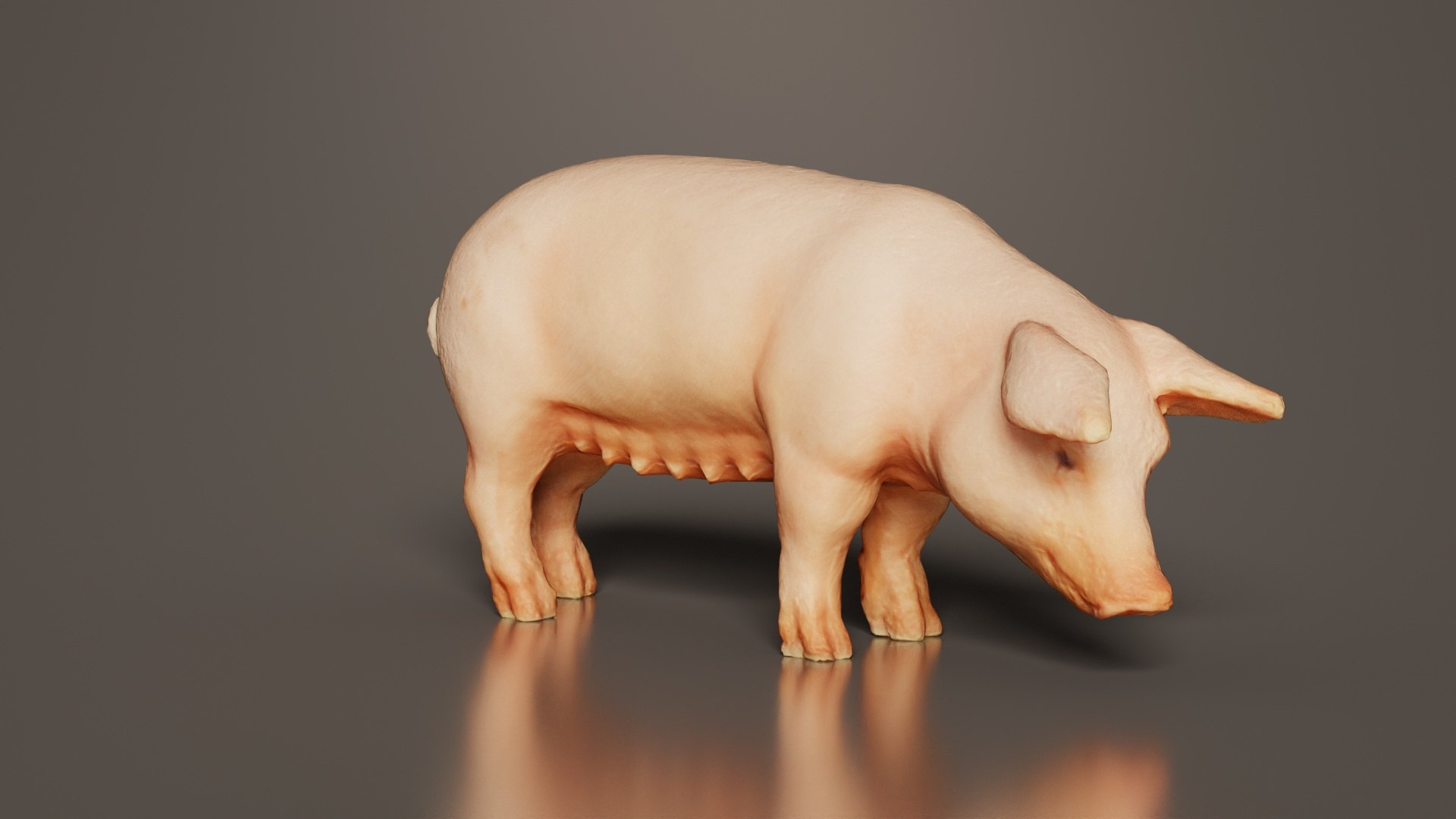 3D Pig Remastered - TurboSquid 2363567