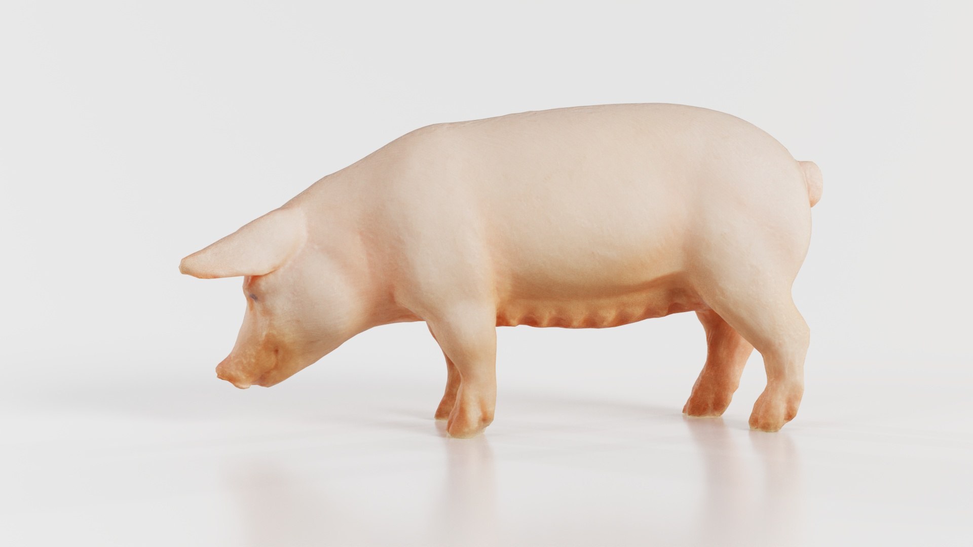 3D Pig Remastered - TurboSquid 2363567