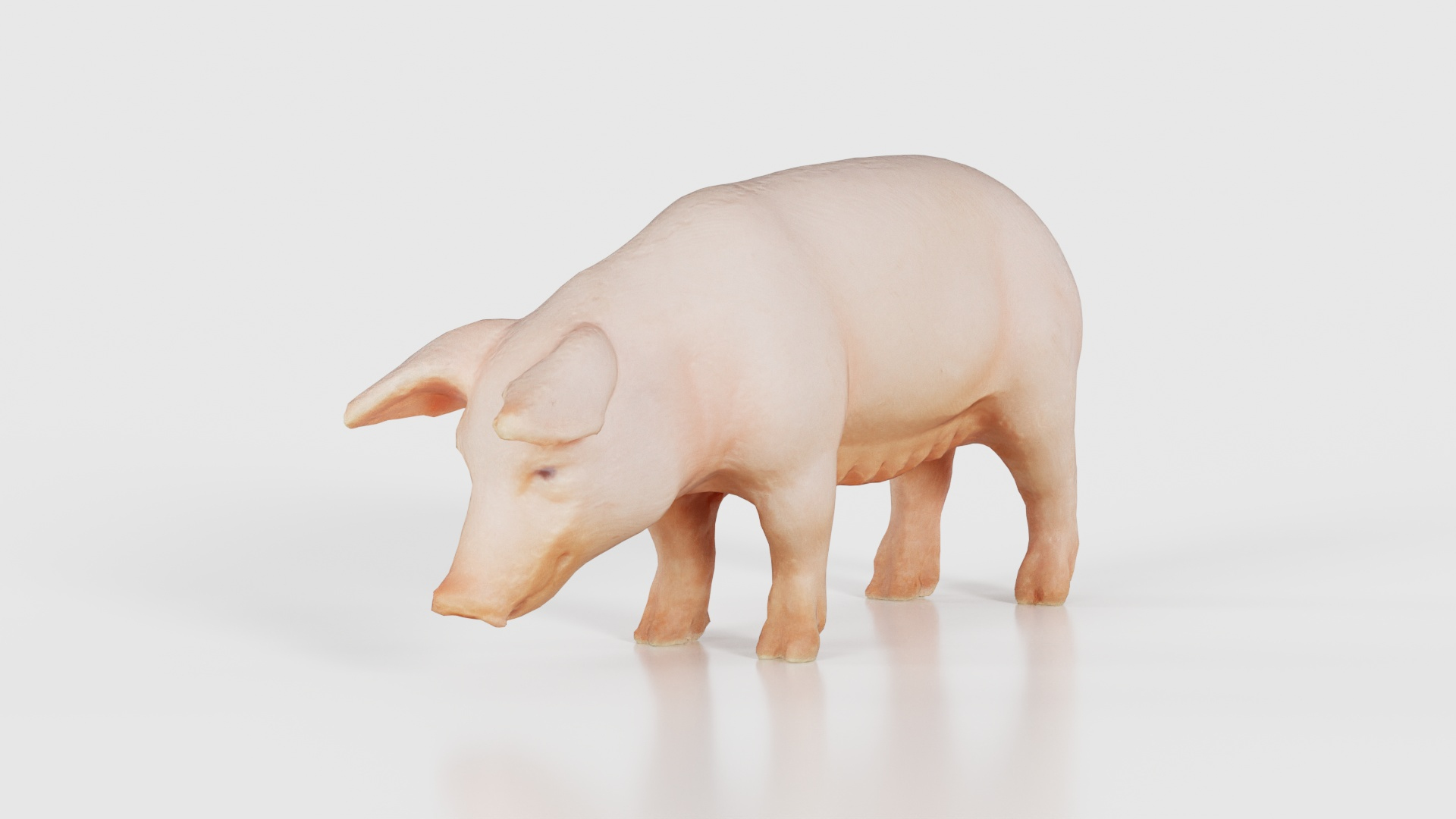 3D Pig Remastered - TurboSquid 2363567