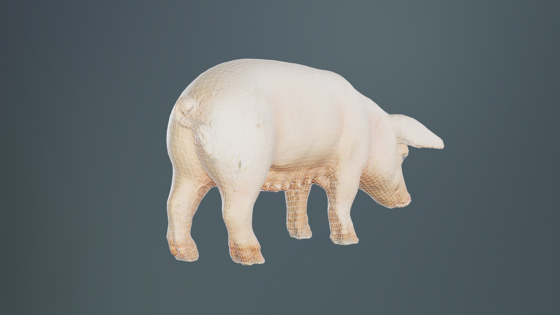 3D Pig Remastered - TurboSquid 2363567