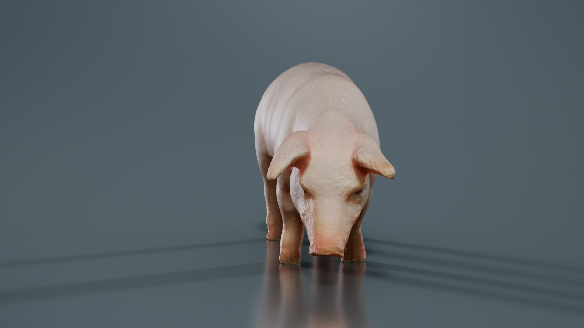 3D Pig Remastered - TurboSquid 2363567