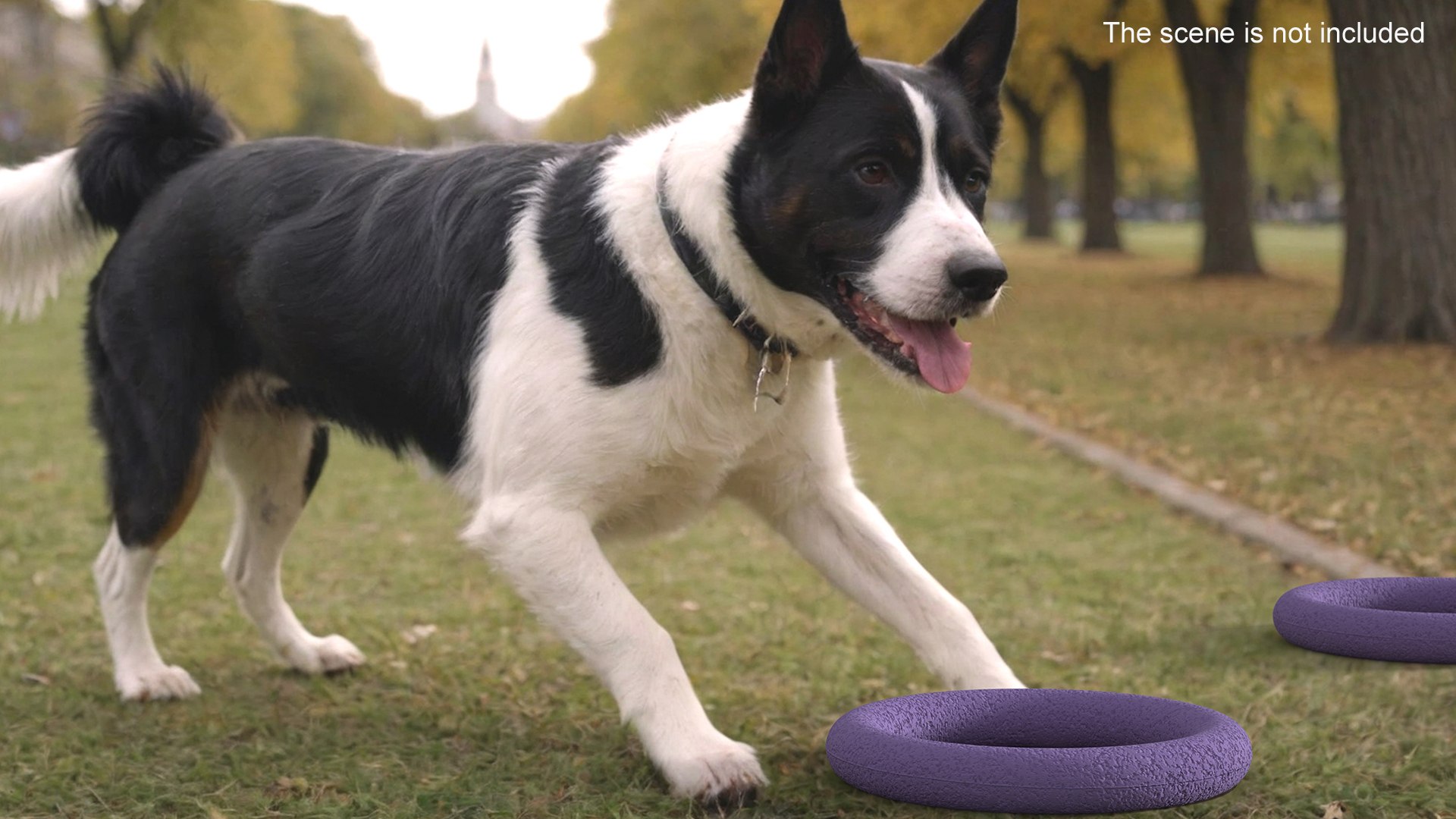 Dog Puller Standart Fitness Tool Used 3D Model - TurboSquid 2276335