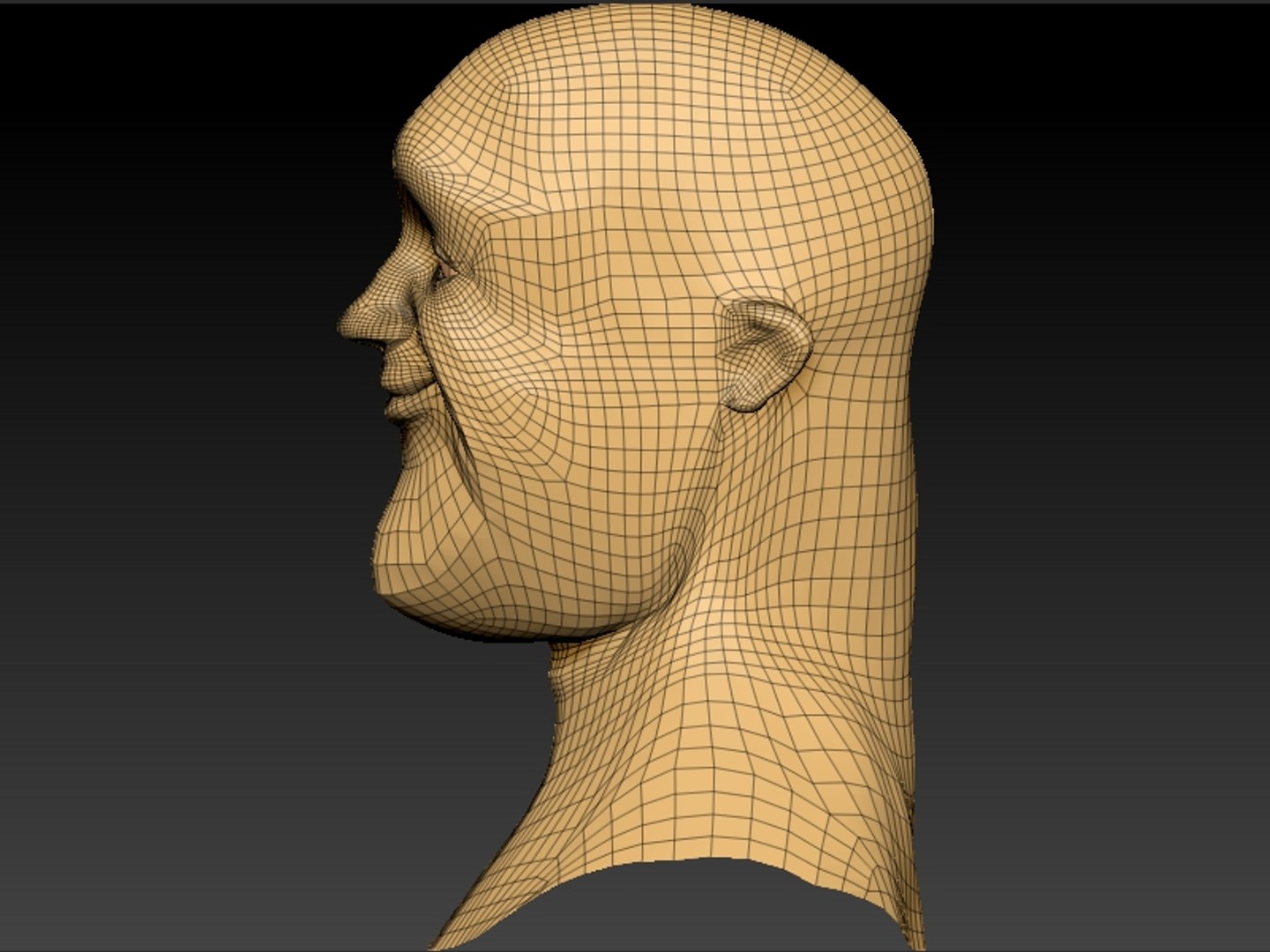 Bust Cartoon 3d Obj
