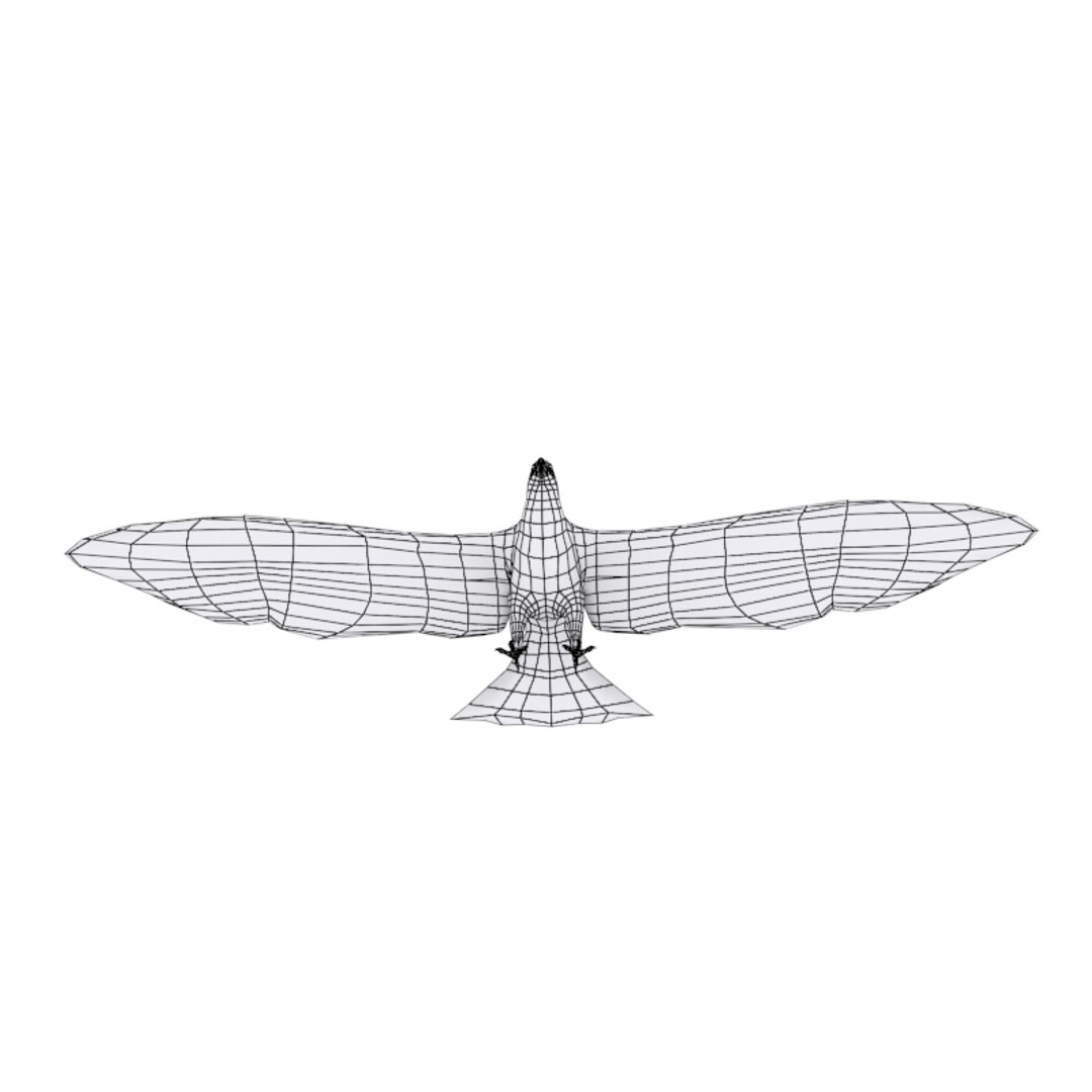 Eagle Flying Model - TurboSquid 1163405