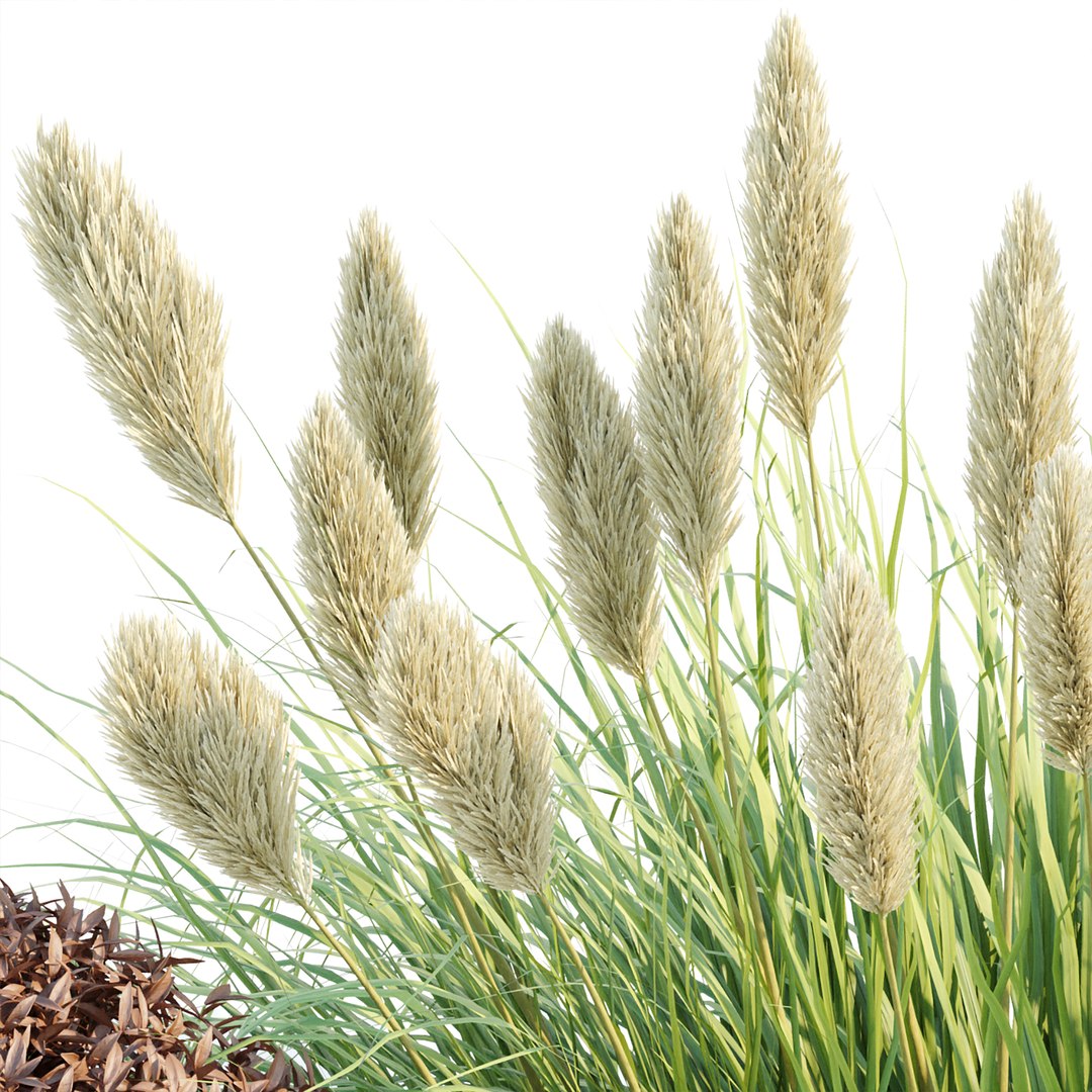 3D Garden Set Plants Collection Vol 120 Model - TurboSquid 1978006