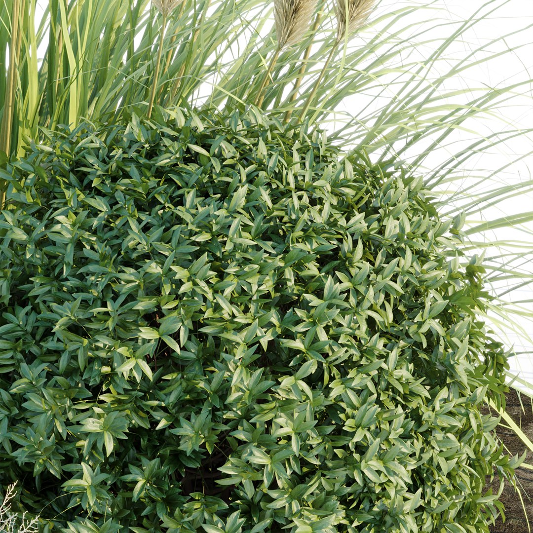 3D Garden Set Plants Collection Vol 120 Model - TurboSquid 1978006