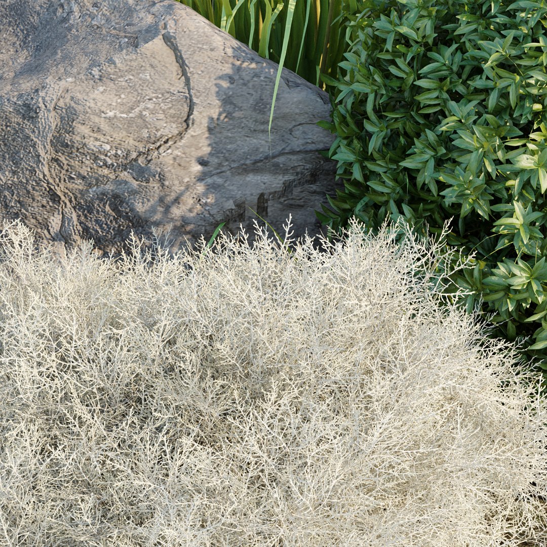 3D Garden Set Plants Collection Vol 120 Model - TurboSquid 1978006