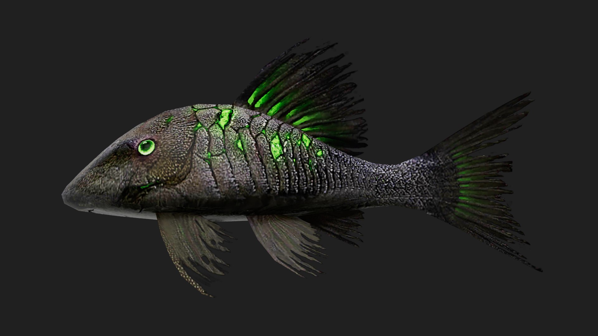 3D Model Panaque - TurboSquid 2121572