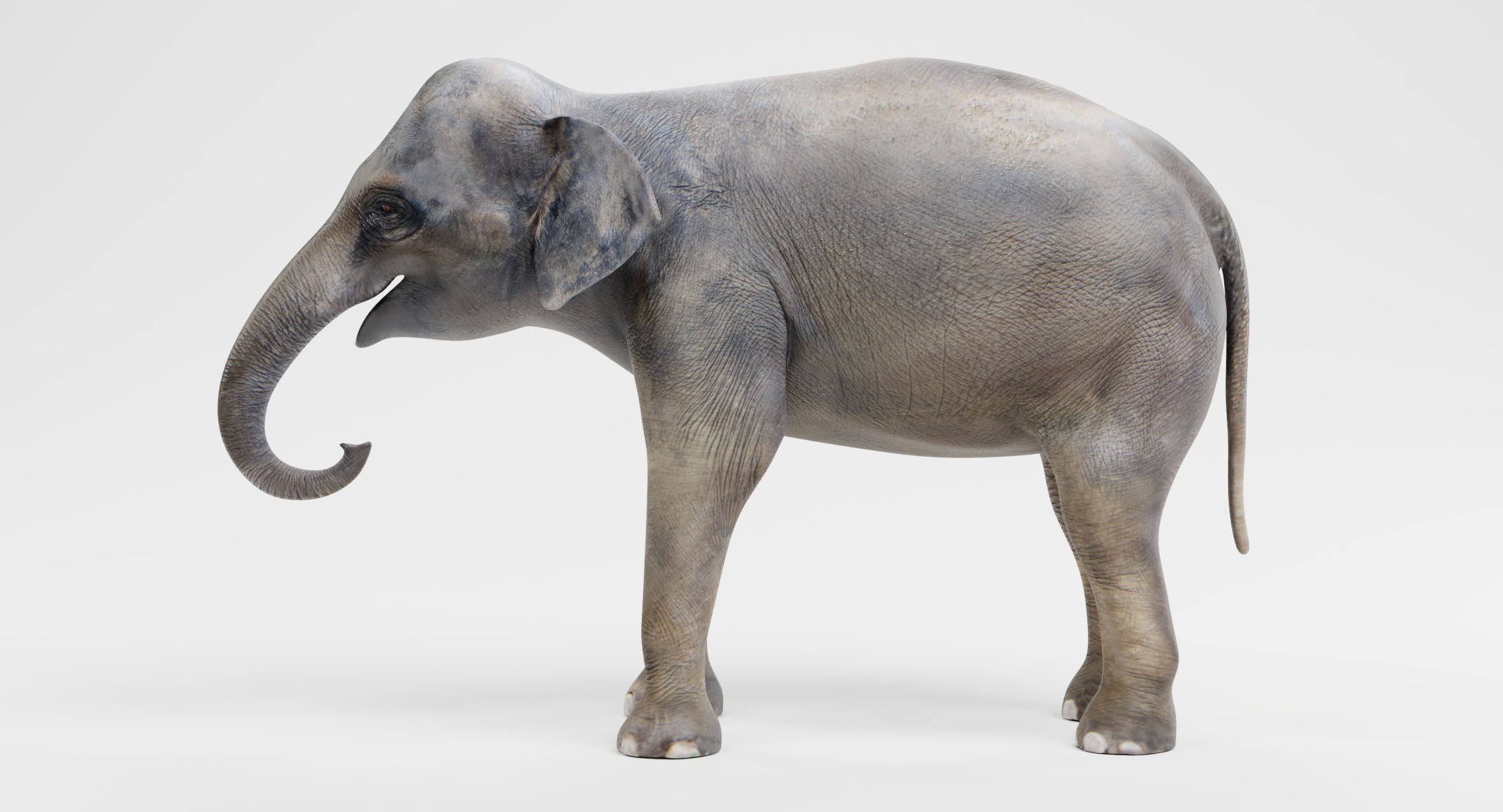 3D model asian elephants - TurboSquid 1341691