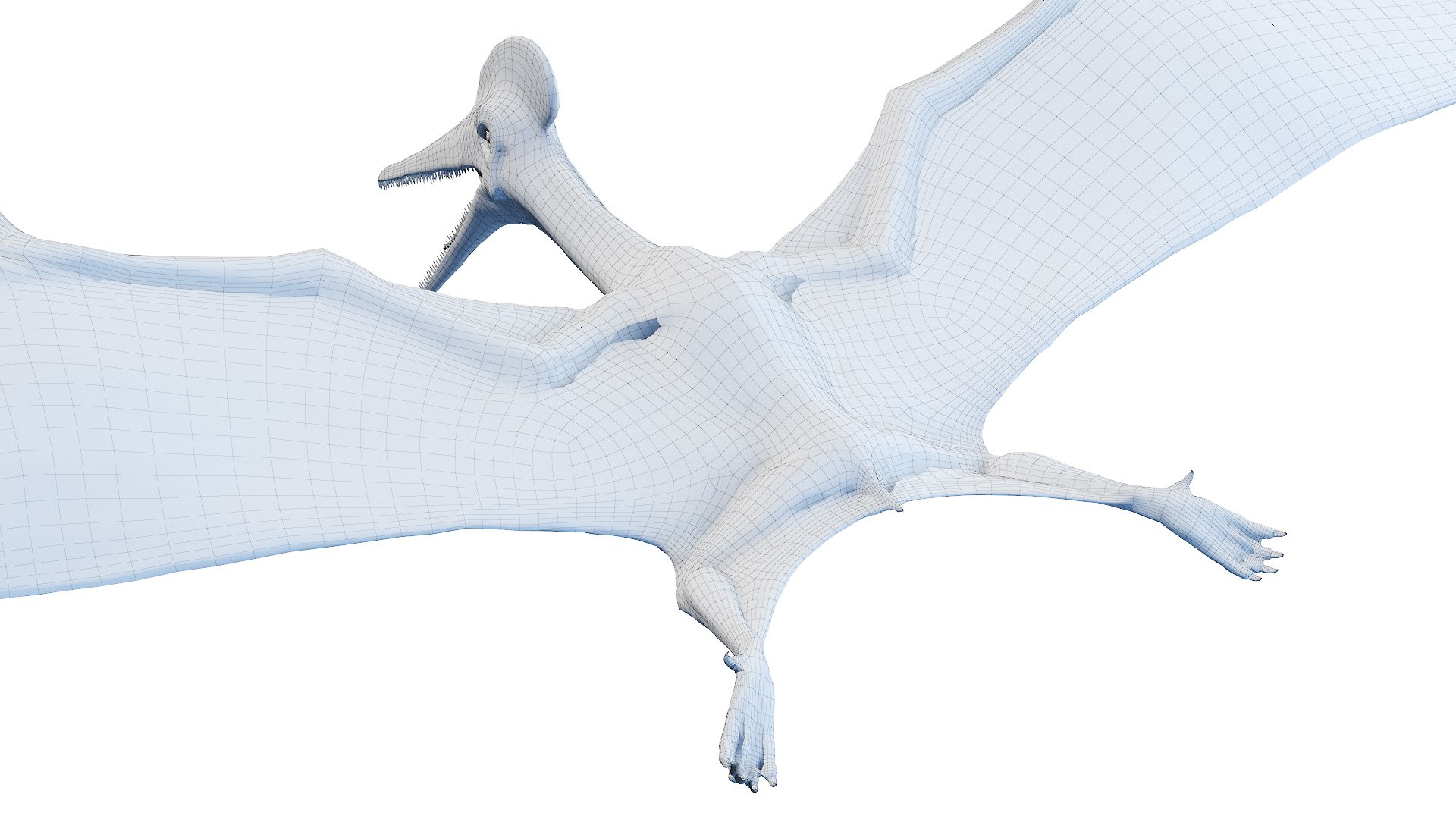 3D Model Pterodactyl Pterodactylus - TurboSquid 1640470