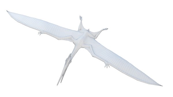 3D model pterodactyl pterodactylus - TurboSquid 1640470