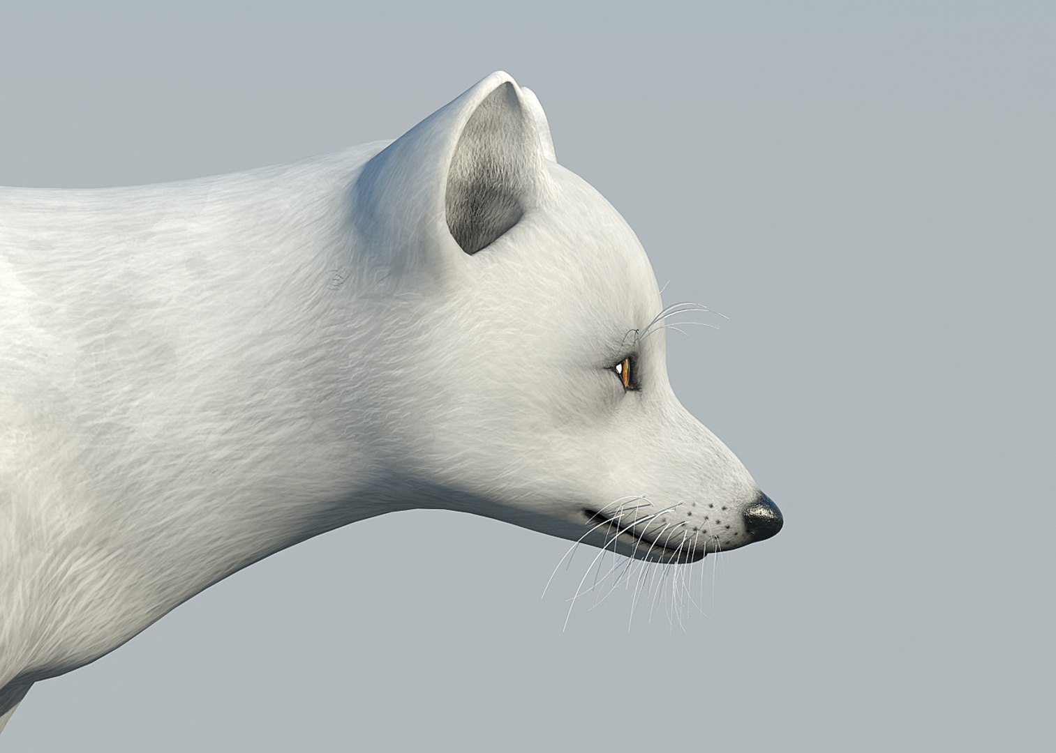 Arctic Fox 3d Max