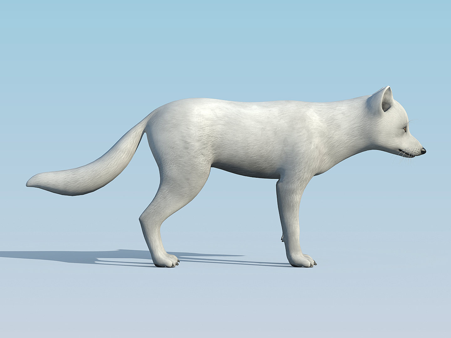 Arctic Fox 3d Max