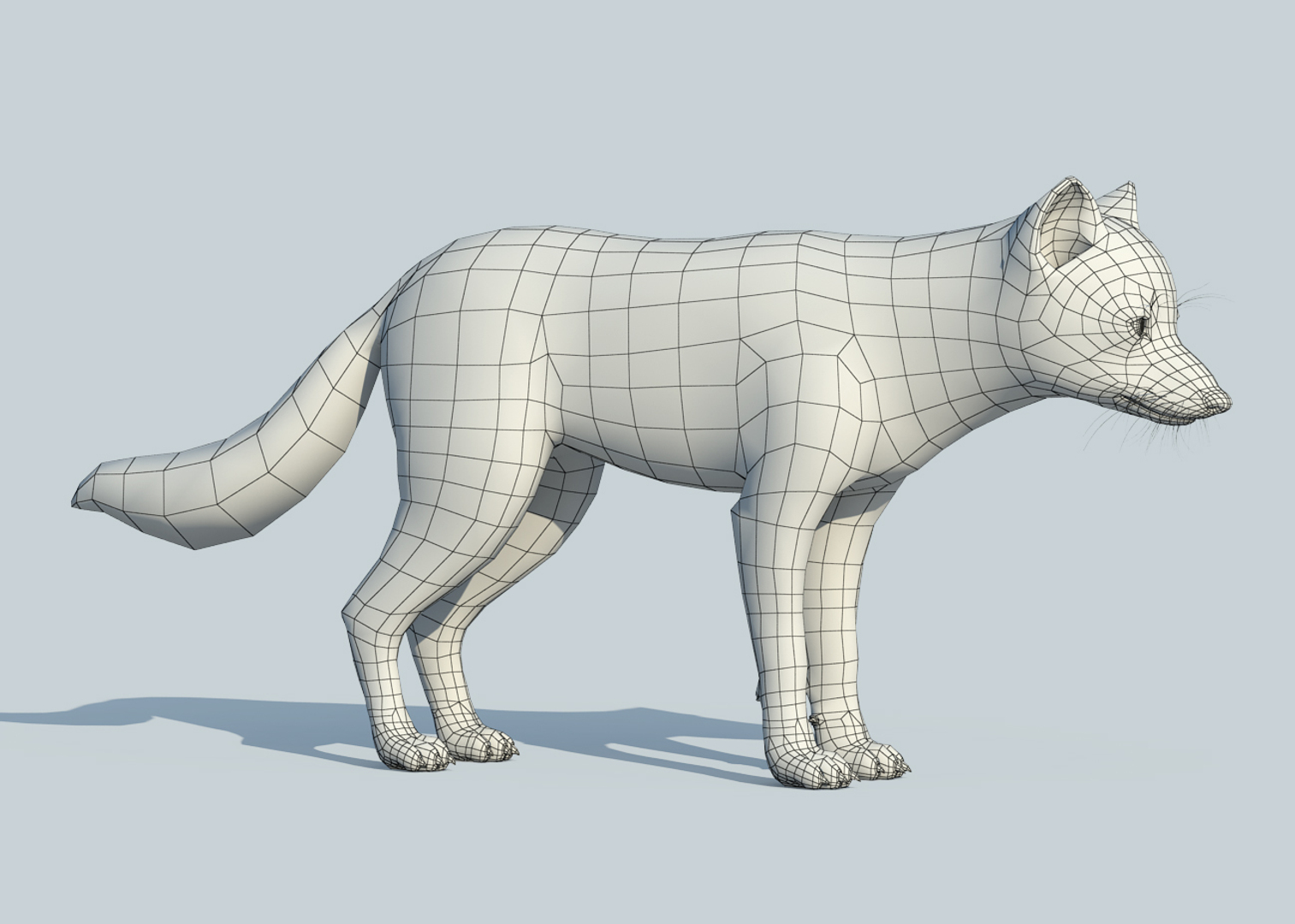 arctic fox 3d max