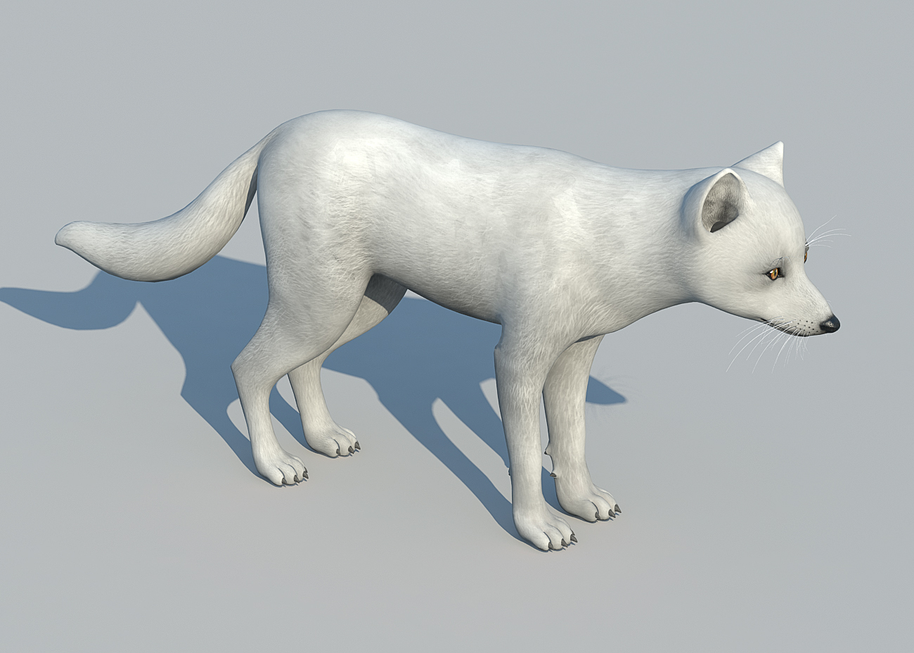 arctic fox 3d max