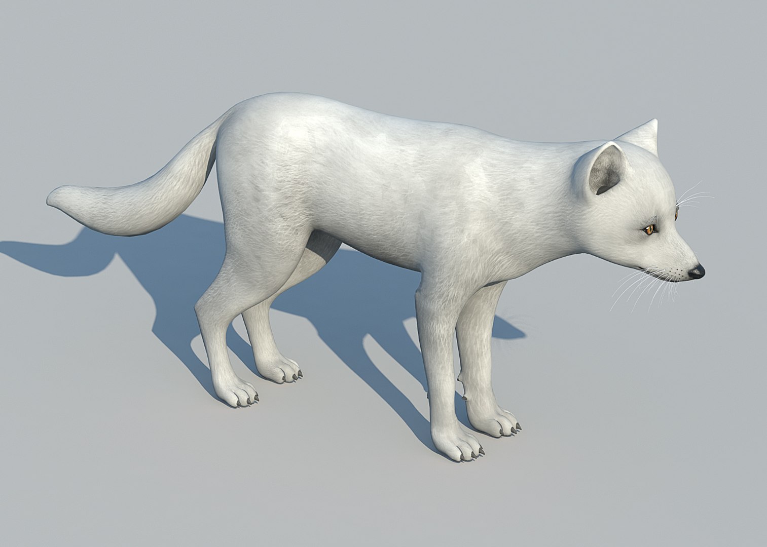 Arctic Fox 3d Max