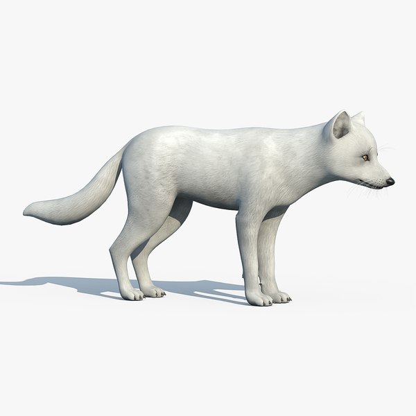 3d arctic fox rigged