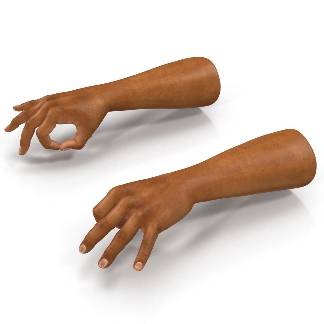 3d Model Of Man Hands 2 Pose