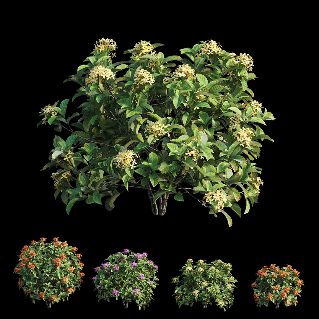 Plant Set 3D Model - TurboSquid 1605449