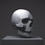 Stylized Skull 3D - TurboSquid 1313733