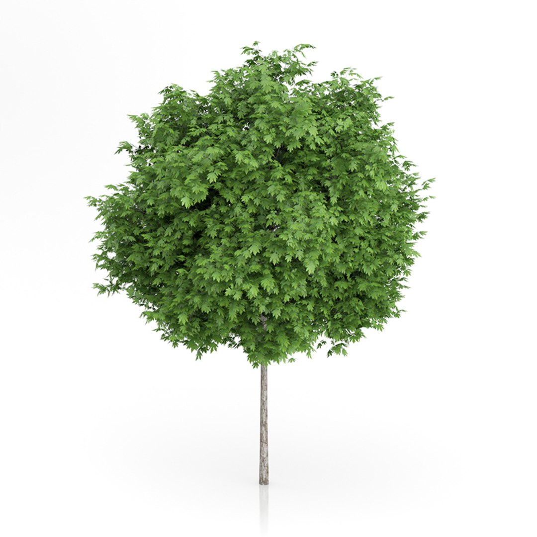 3d trees volume 54 v model