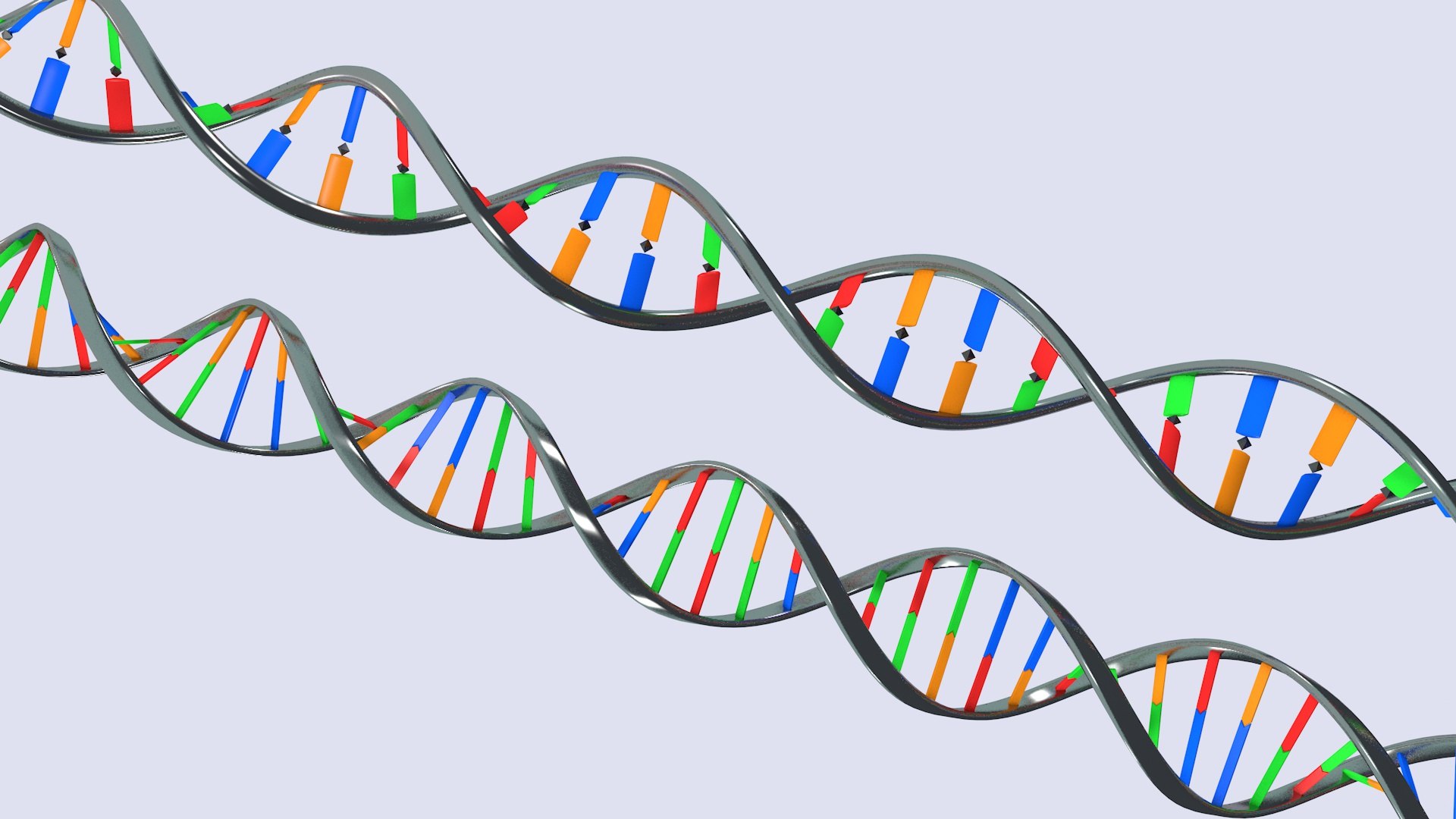 3D DNA Double Helix - TurboSquid 2392569