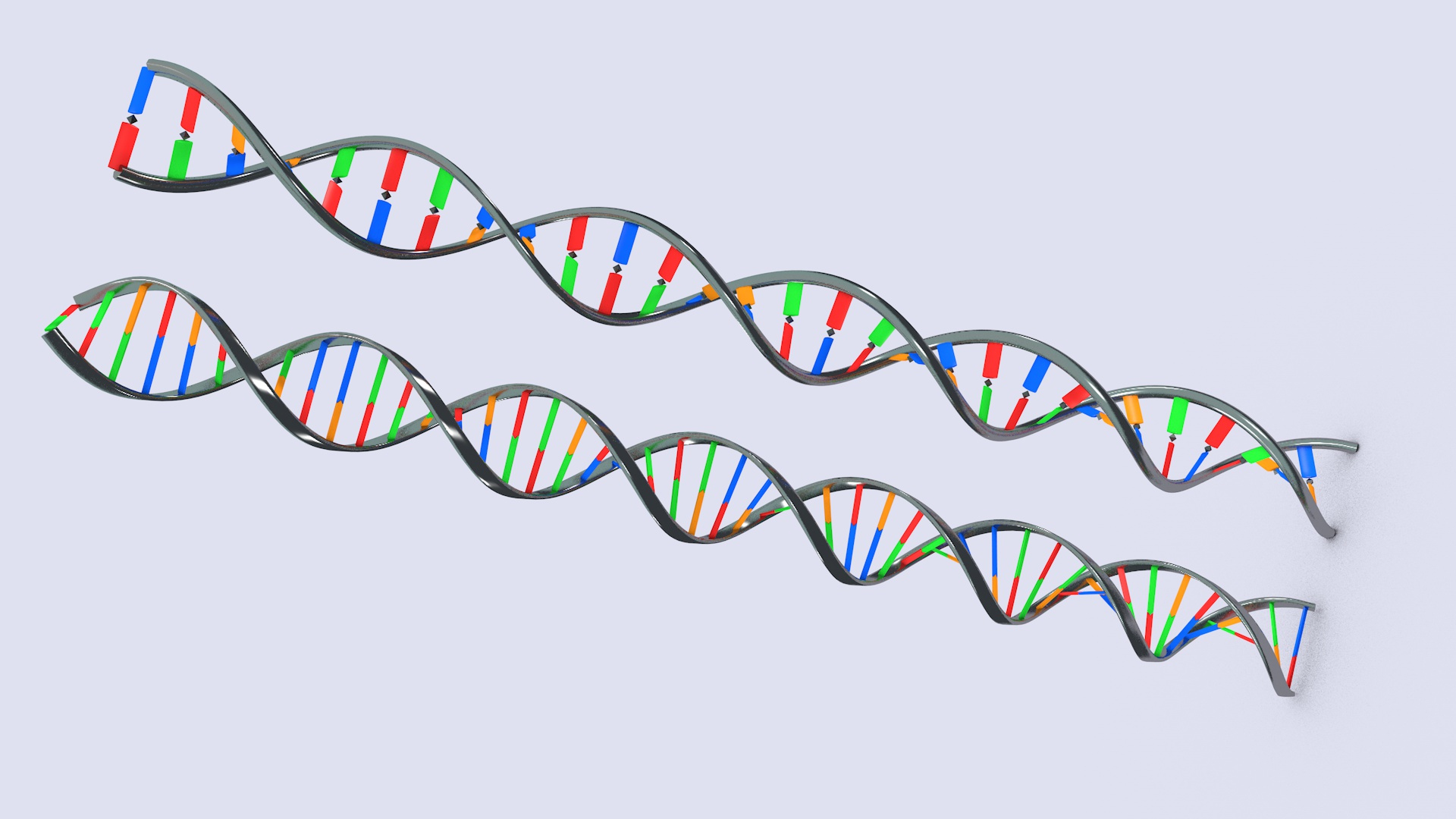 3D DNA Double Helix - TurboSquid 2392569