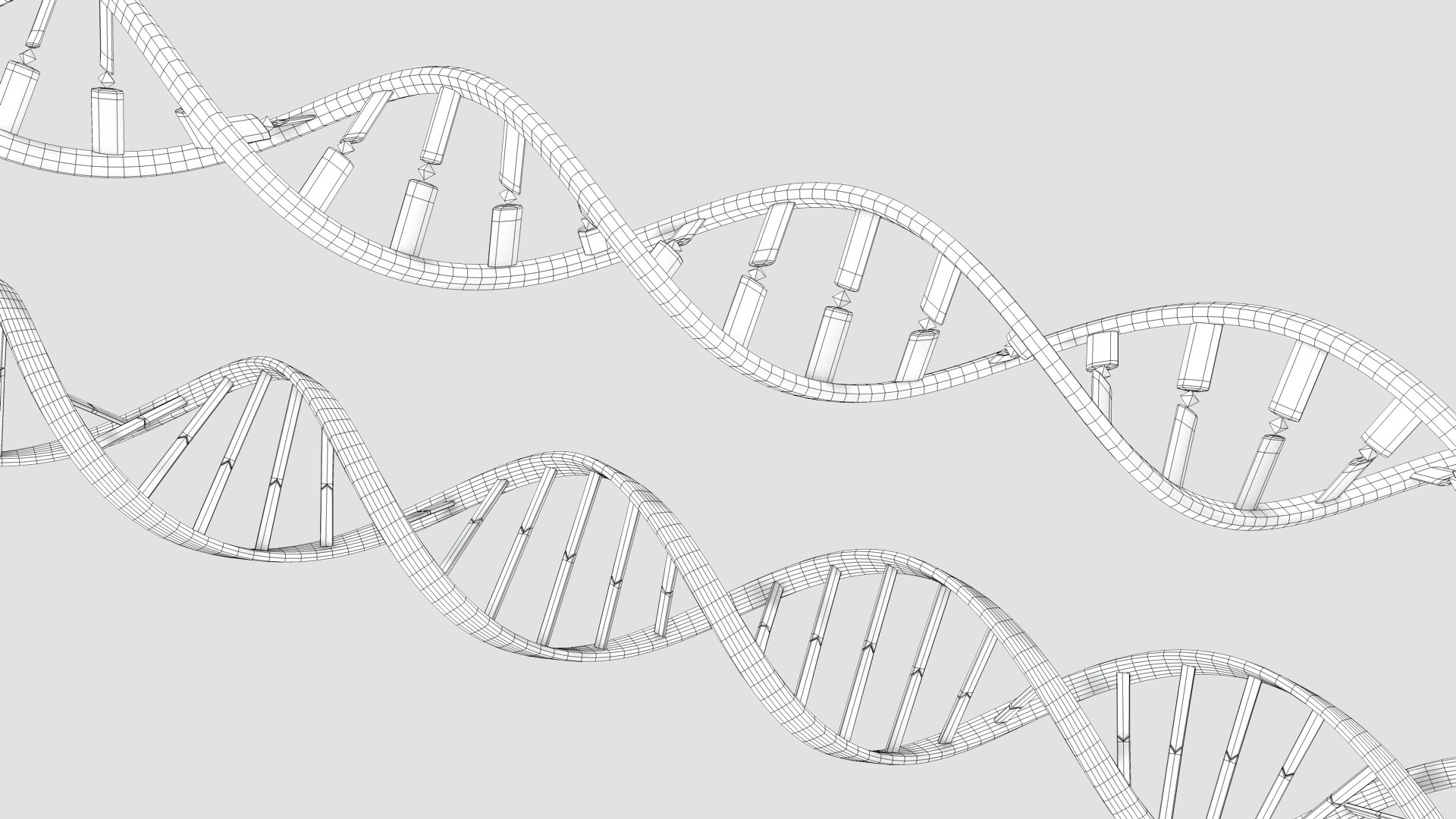 3D DNA Double Helix - TurboSquid 2392569