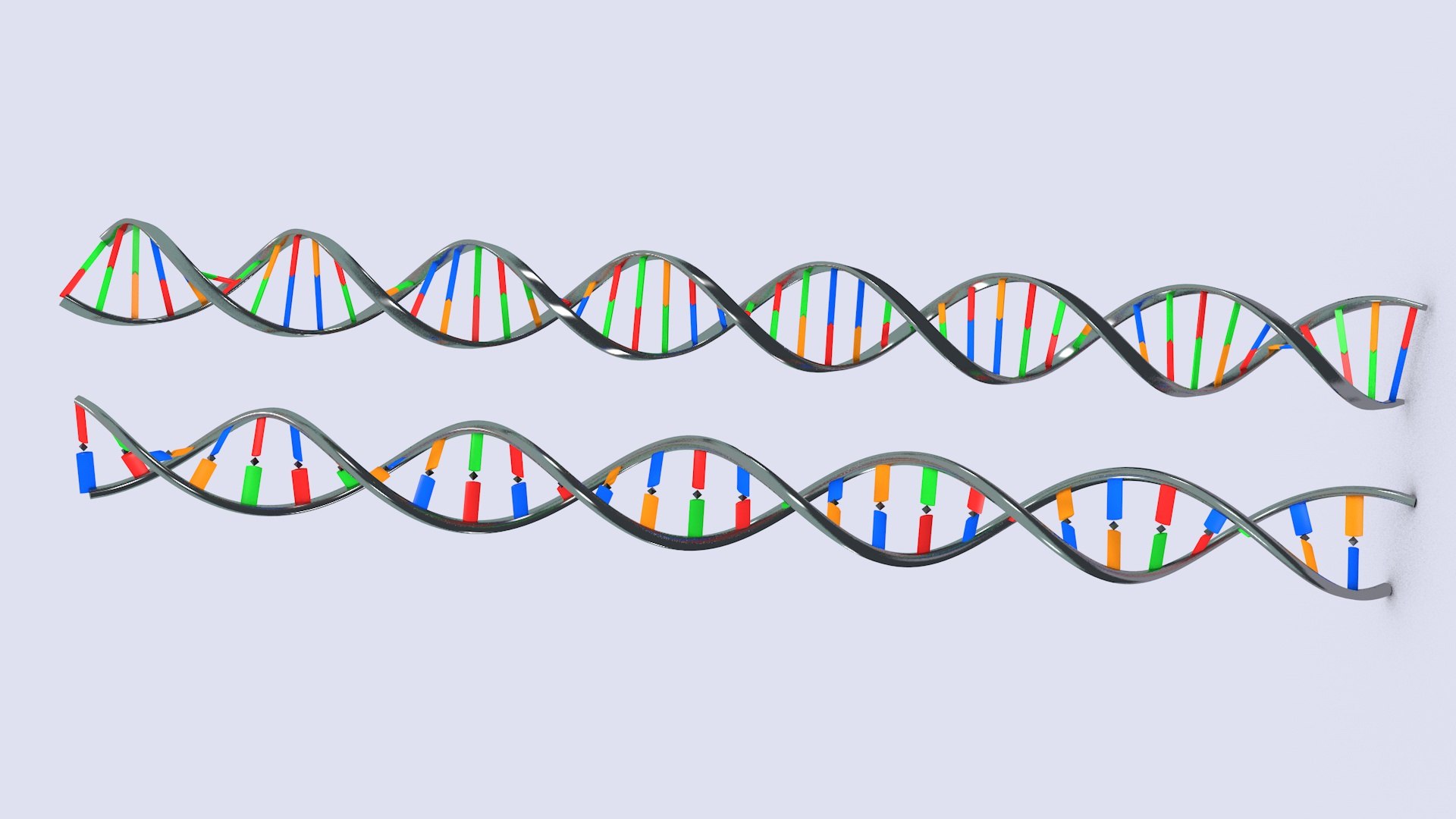 3D DNA Double Helix - TurboSquid 2392569