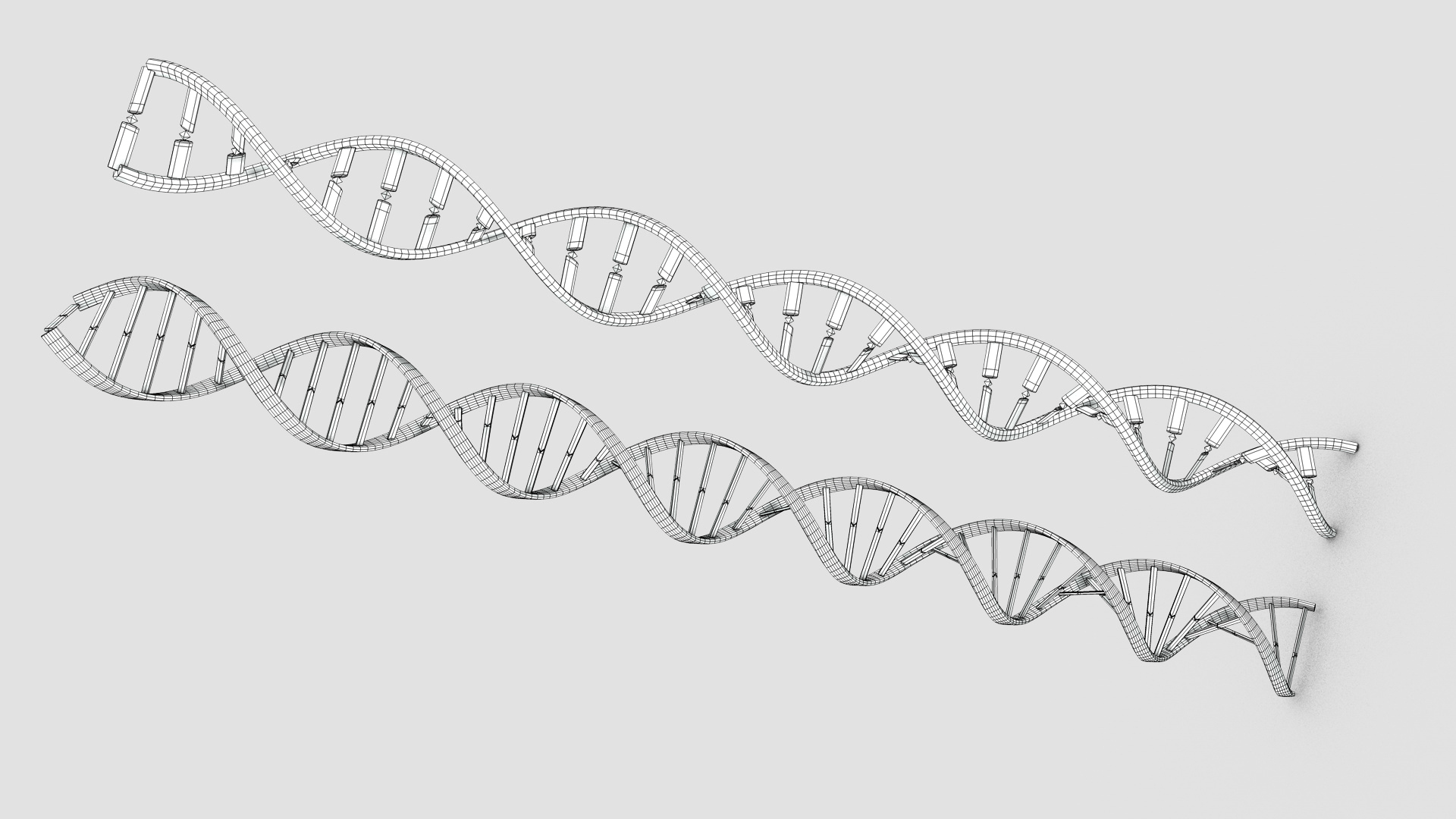 3D DNA Double Helix - TurboSquid 2392569