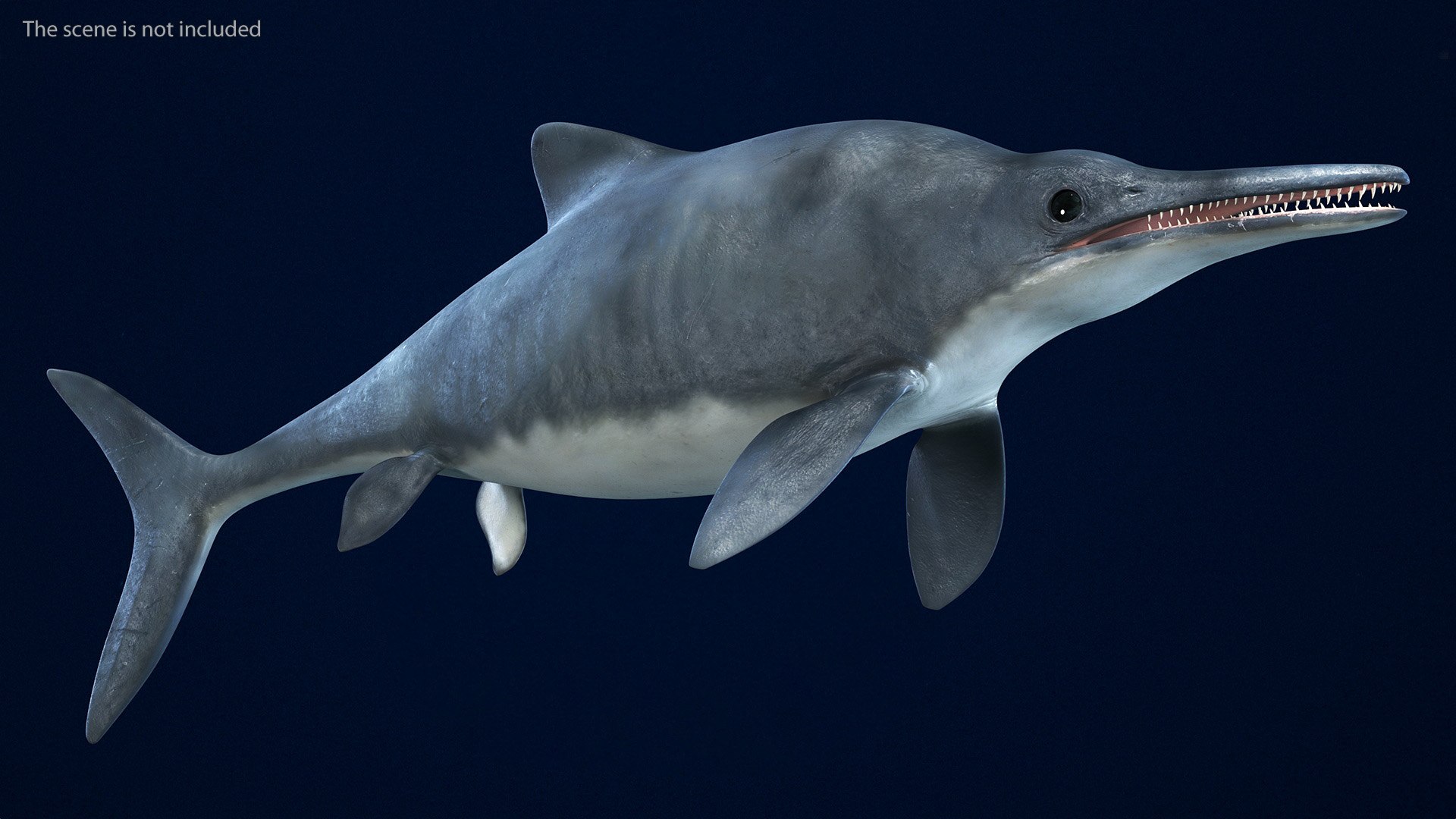 Ichthyosaur Rigged 3D - TurboSquid 2086167