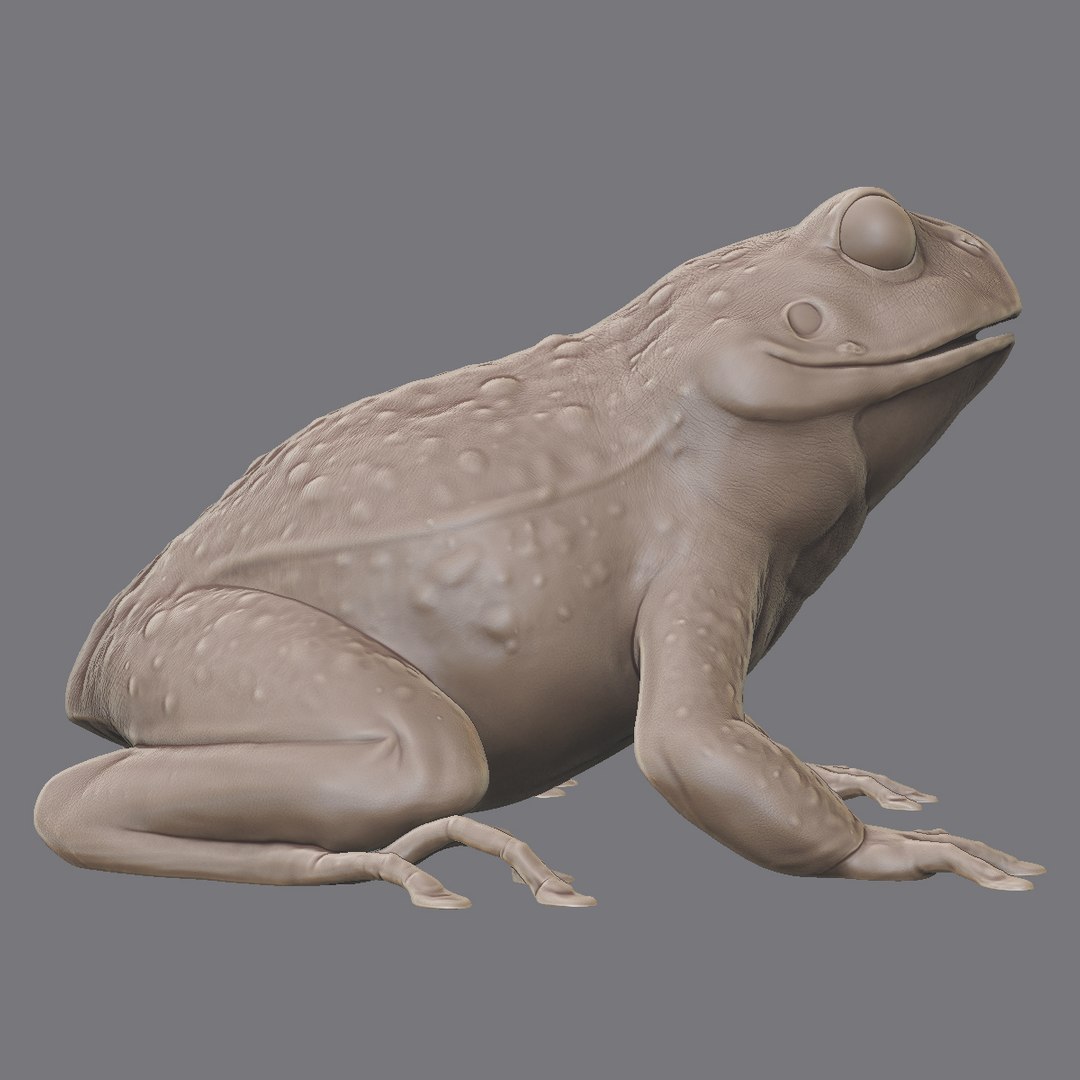 3d Toad Print