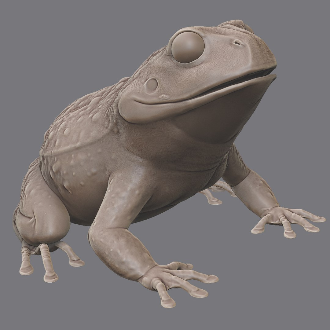 3d Toad Print