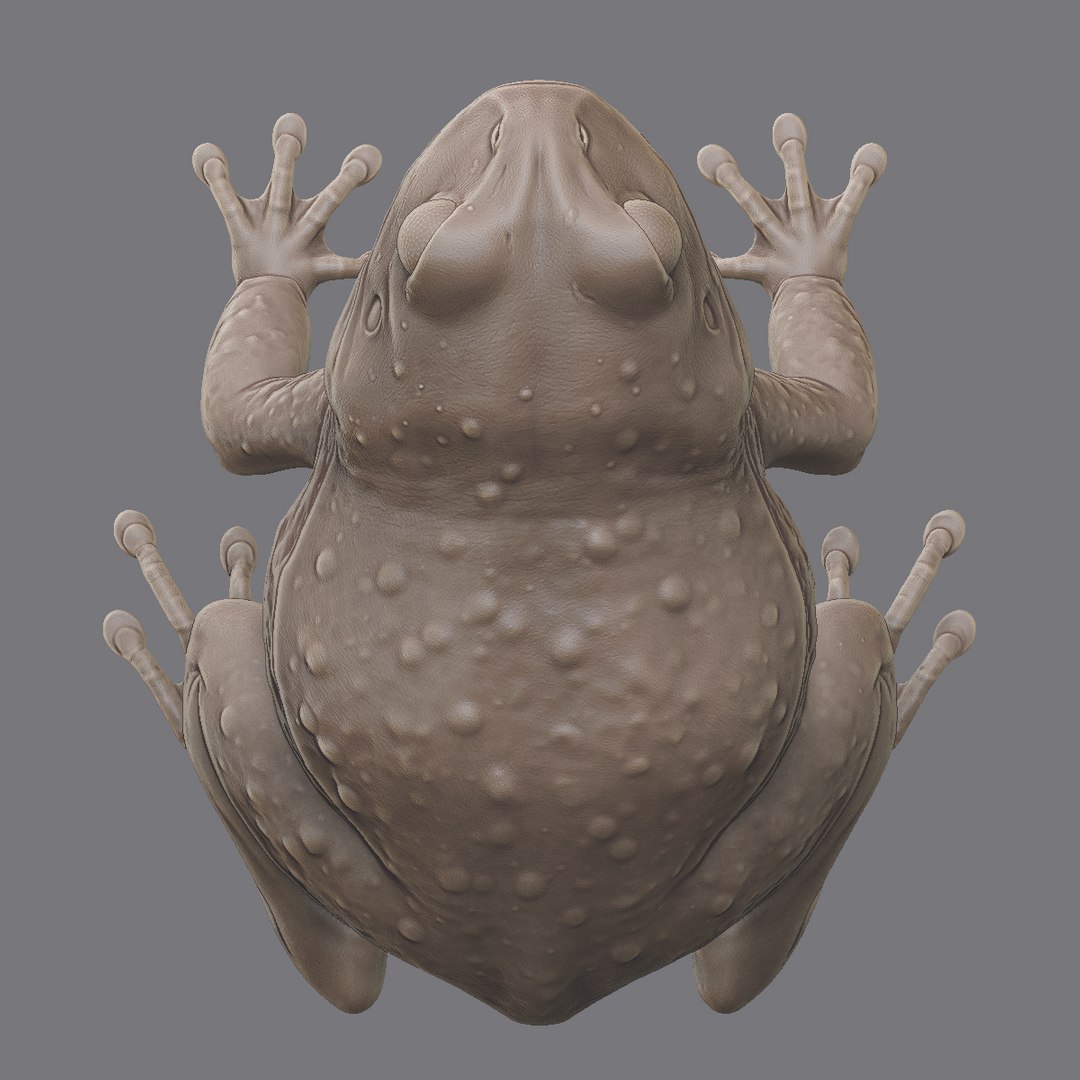 3d Toad Print
