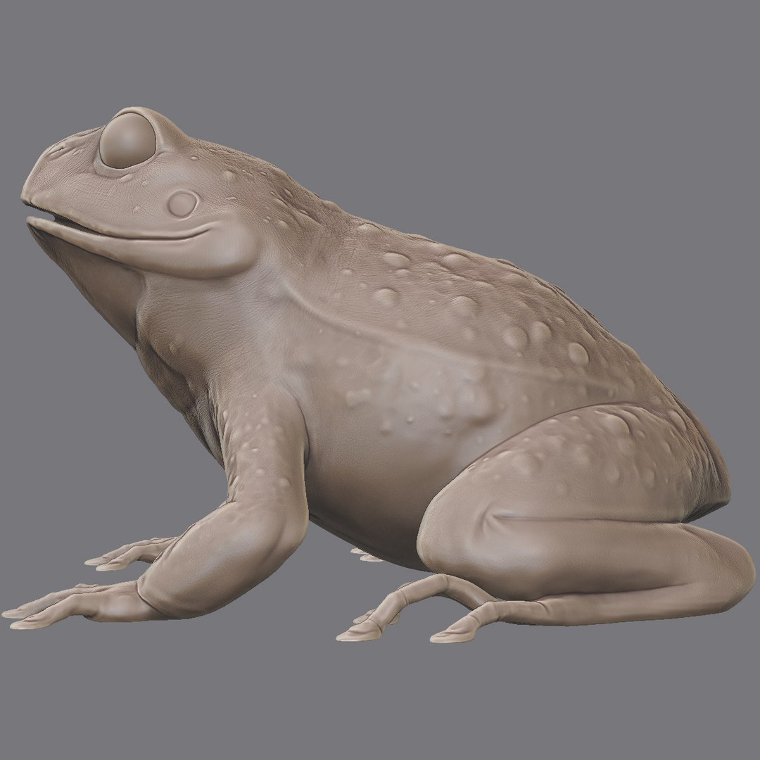 3d Toad Print
