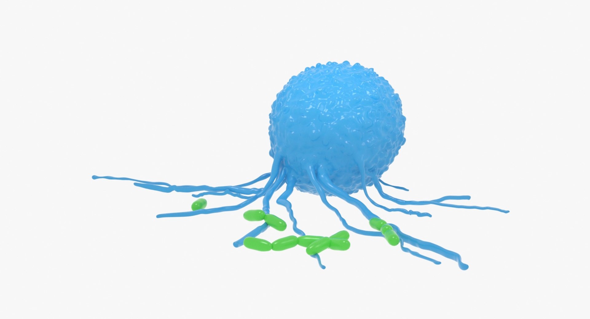 Leukocyte Attack 3D Model - TurboSquid 1365503