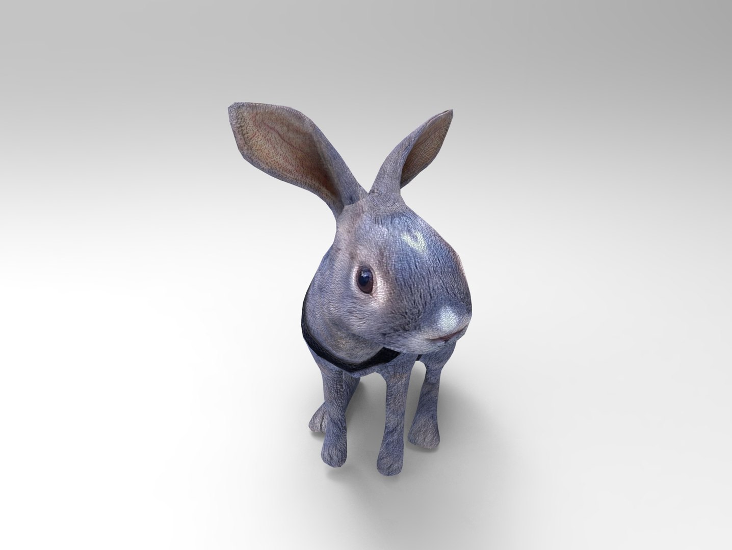 3D Police Rabbit Rigged Model - TurboSquid 1198240