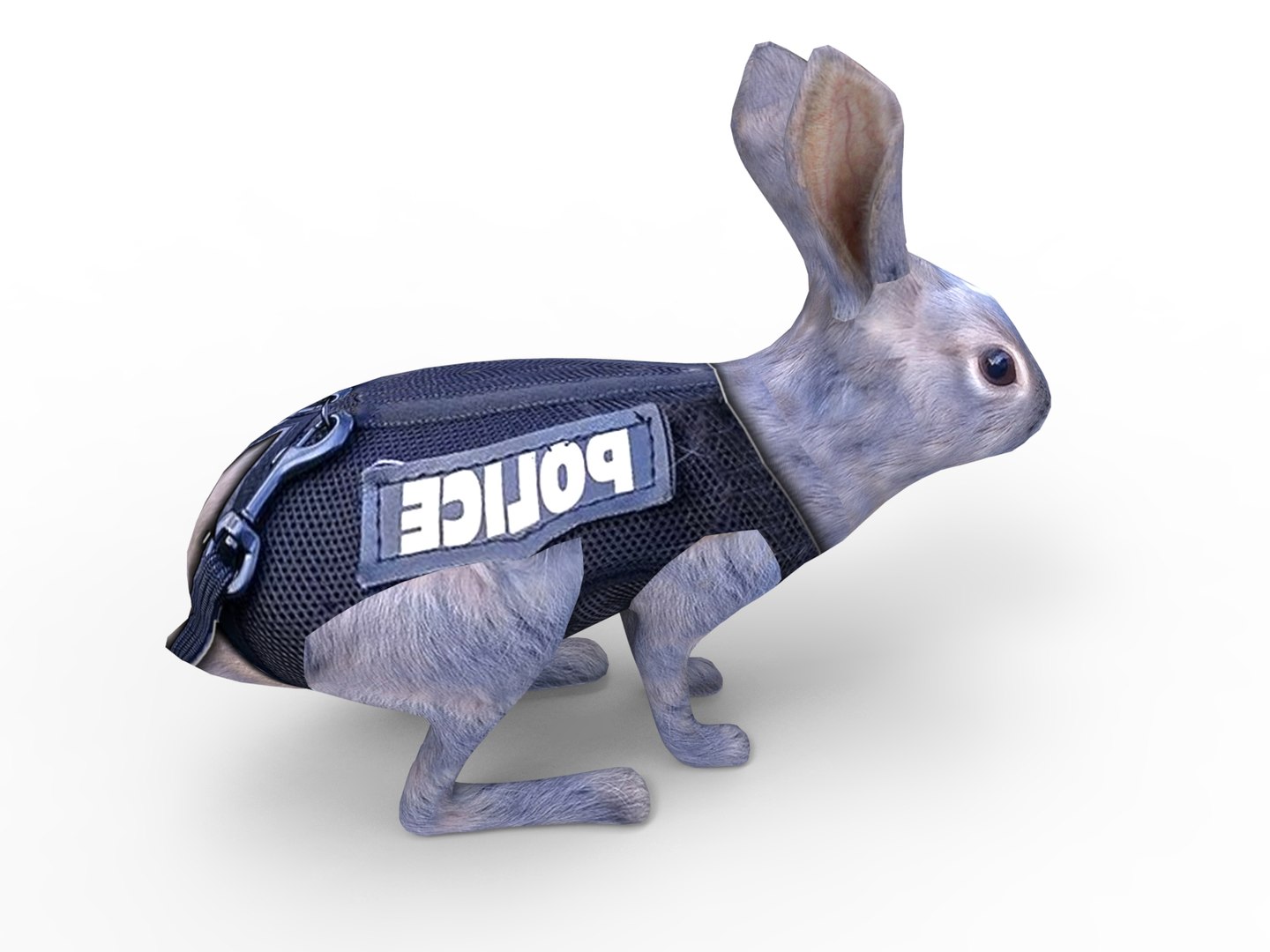 3D Police Rabbit Rigged Model - TurboSquid 1198240