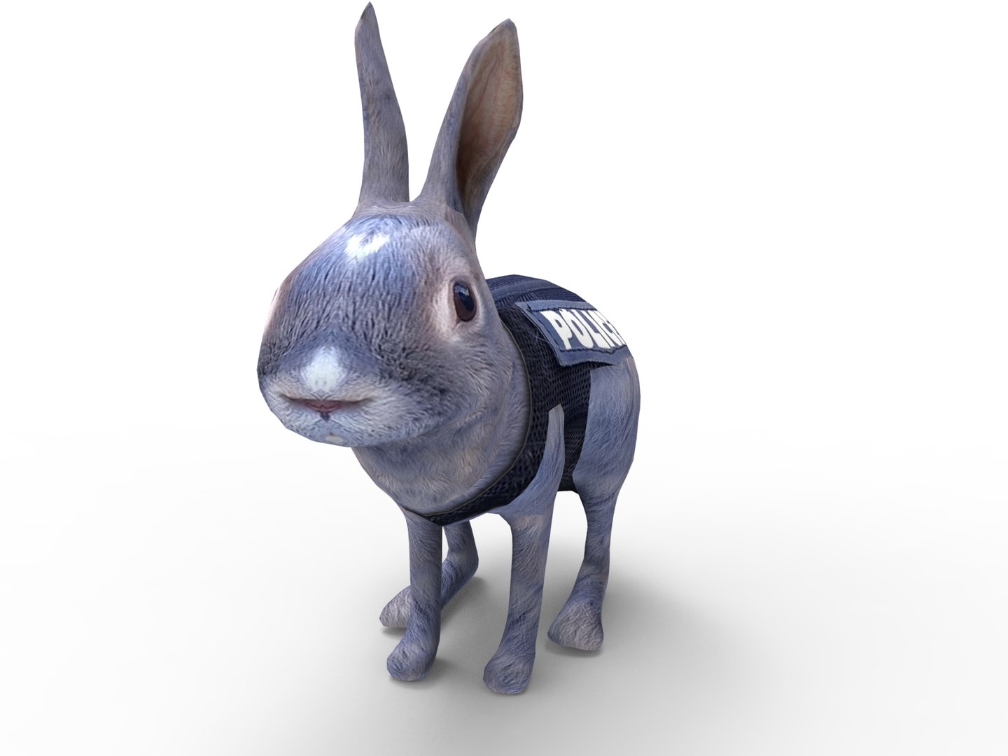 3D Police Rabbit Rigged Model - TurboSquid 1198240