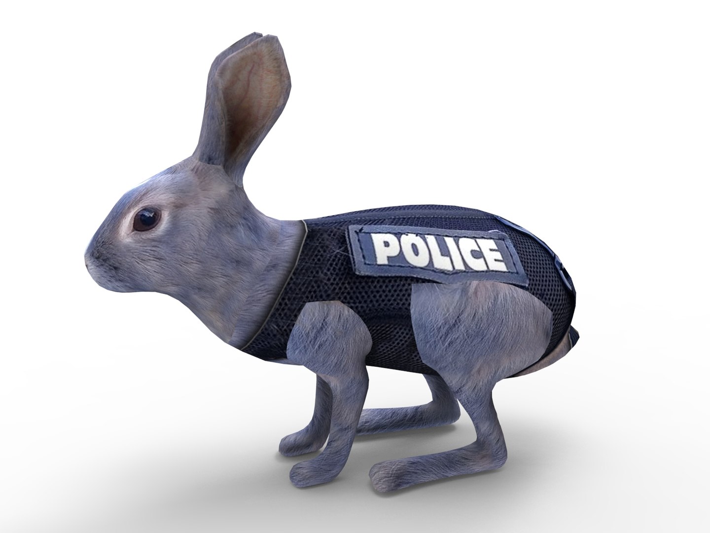 3D Police Rabbit Rigged Model - TurboSquid 1198240